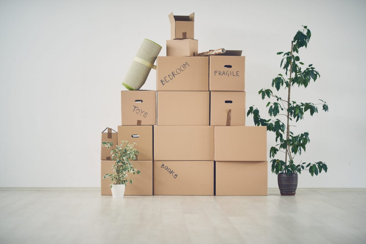 Top NJ Movers | Affordable Moving Company in New Jersey
