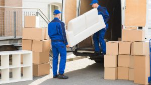 Long Distance Moving Company in New Jersey | Vector Movers NJ