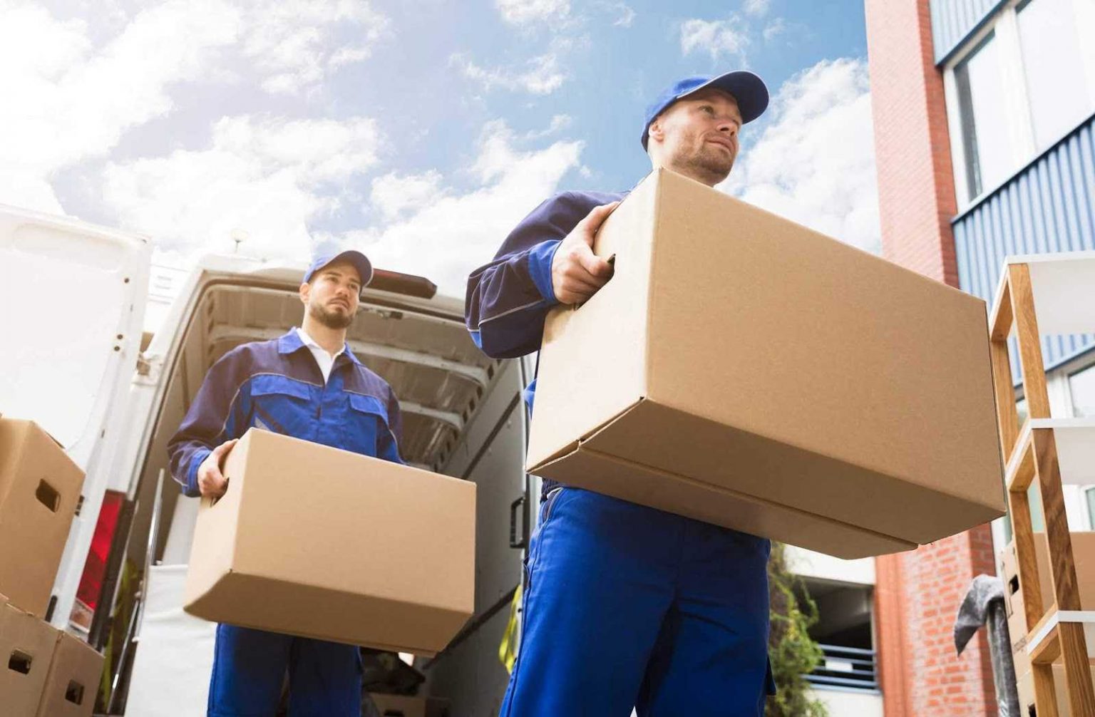 Vector Movers NJ - Local Moving Company - New Jersey Movers