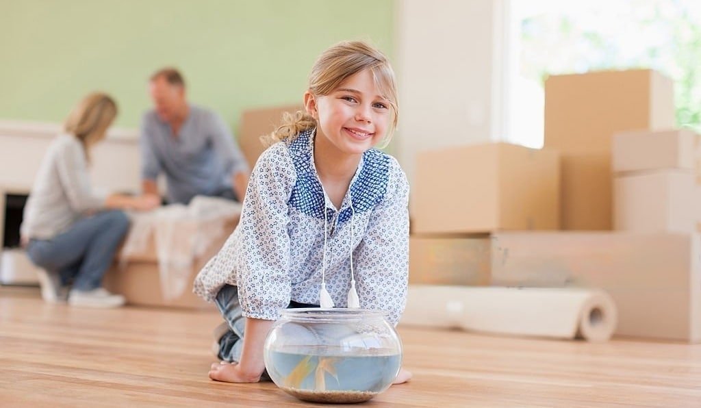 How to Move an Aquarium: Expert Tips and Guide | Fish Tank Movers